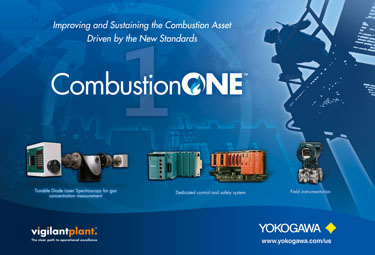 Combustion Management & Control System | P.I. Process Instrumentation