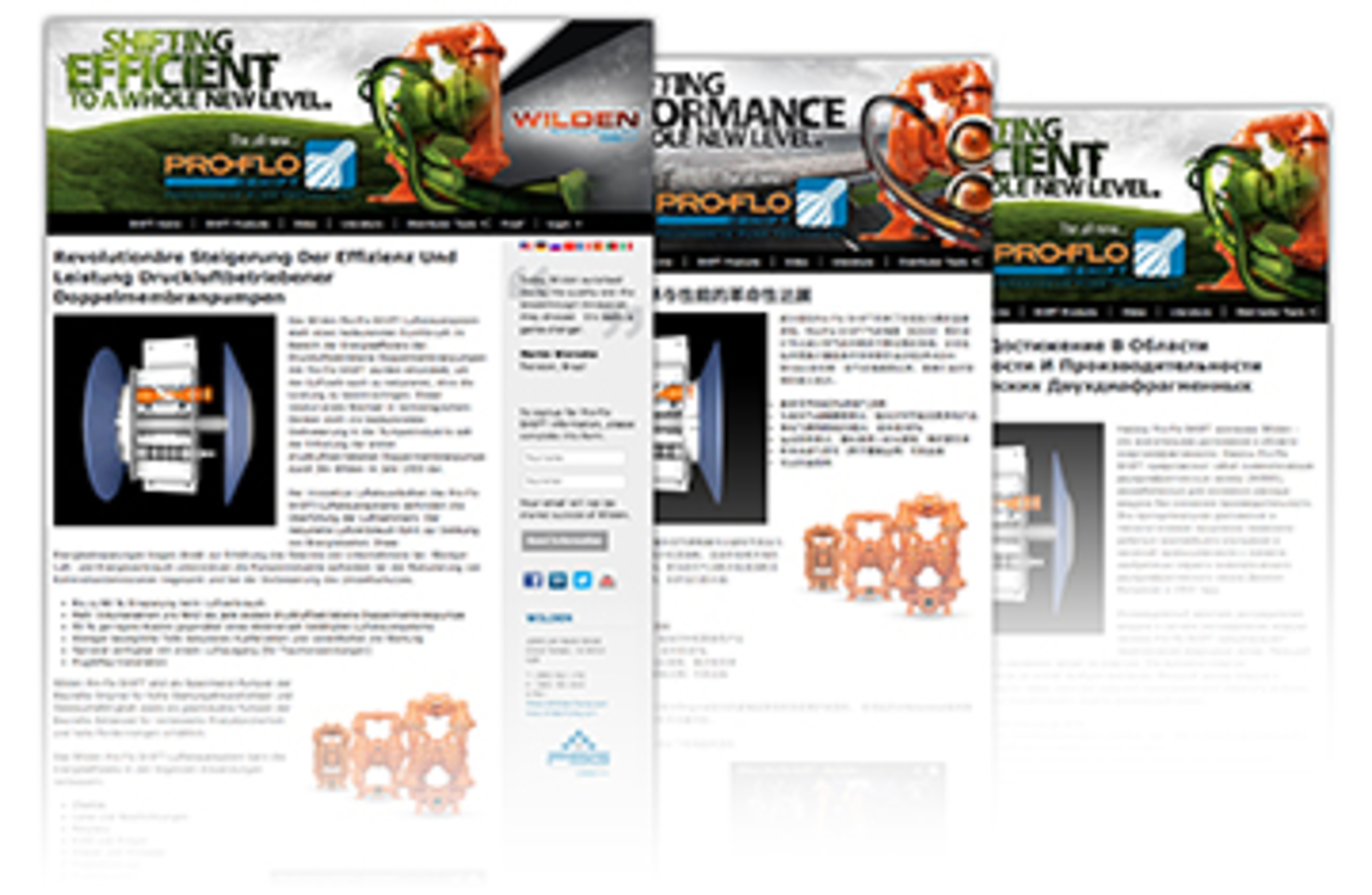 Wilden Targets Global Markets with Multilingual Websites for Its Pro ...