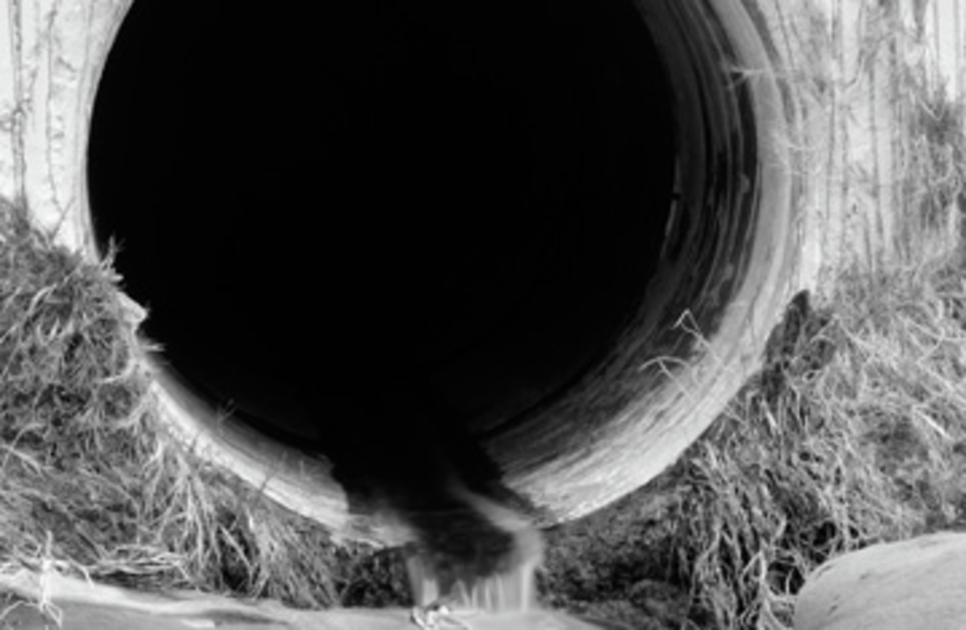 What Is STEPP? | P.I. Process Instrumentation