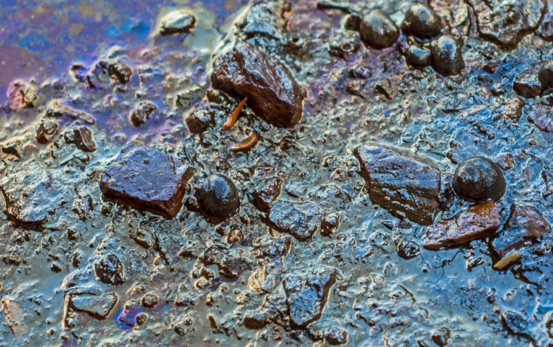 Latest oil spill compensation and other world oil and gas news | P.I ...